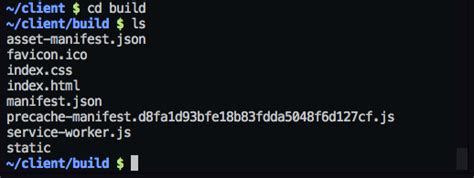 javascript heroku deploying react express app and