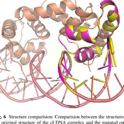 Structure Of The Highest Binding Predicted Peptide Using The Asa