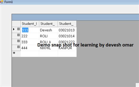 expandable and collapsible rows in datagrid in c winforms