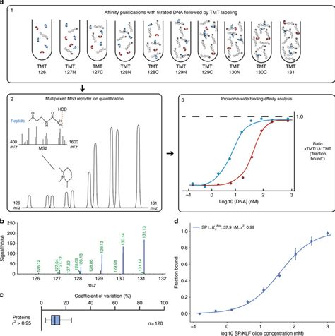 Benchmarking Protein Dna Kdapp Measurements With The Sp Klf Consensus
