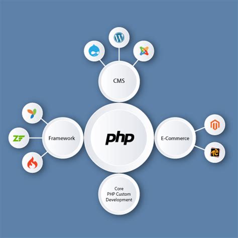 e commerce enabled php web development services id 8423988062