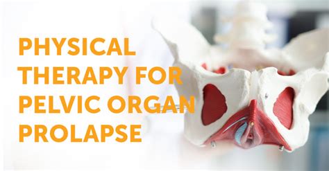 Physical Therapy For Pelvic Organ Prolapse Pt And Me