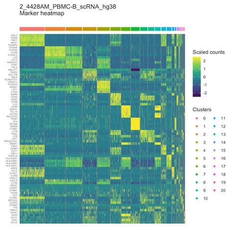Single Cell Rna Seq Heatmap