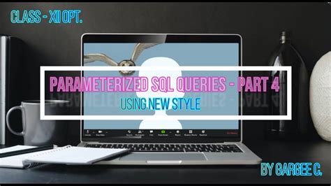 class xii parameterized sql queries part 4 interface python