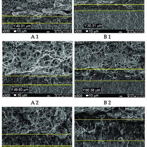 Morphology Of A2 And B2 Fracture Surfaces Morphology Of A2 And B2