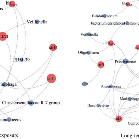 Network Analysis Showing The Co Occurrence Patterns Between Args And