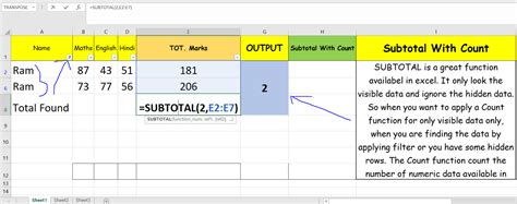 subtotal with count excel help excel help