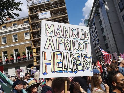 In Pictures The Best Banners From Londons Trump Protest Londonist
