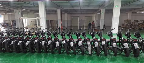 Ridingtimes Z8 Electric Bike Hydraulic Brake Electric Bicycle In Eu