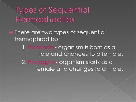 sequential hermaphrodites
