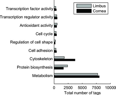 Functional Classification Of Transcripts Expressed In The Limbal