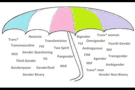 a brief explanation of non binary gender