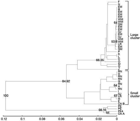 Unweighted Pair Group Method With Arithmetic Mean Upgma Dendrogram