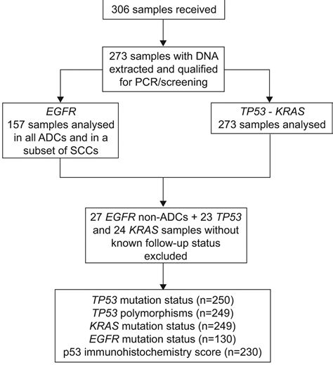 Prognostic Value Of Tp53 Kras And Egfr Mutations In Nonsmall Cell Lung