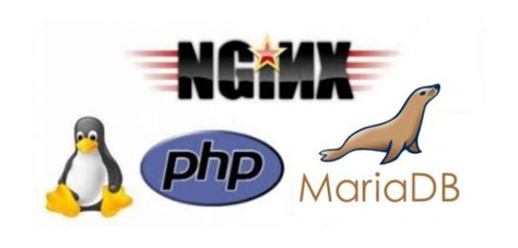 how to install lemp stack on ubuntu lts 16 04 unixmen