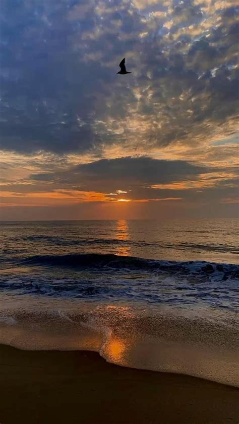 Beach Sunset Sunrise Aesthetic Instagram Beautiful Sites