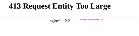 resolve 413 request entity too large error on nginx apache