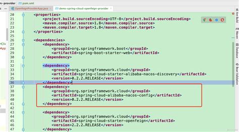 nacos异常之com alibaba nacos api exception nacosexception null 51cto博客