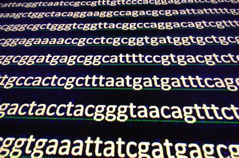 Dna Sequencing