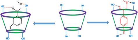 Schematic Representation Of The Host Guest Inclusion Complexation