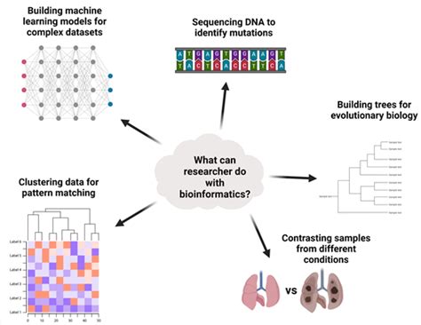 A Beginners Guide To Bioinformatics The Biochemist Portland Press