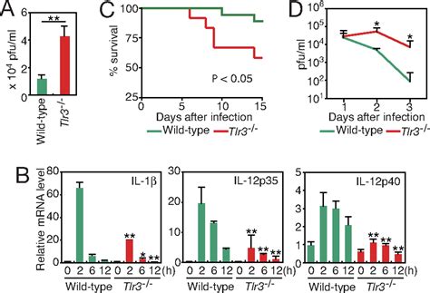 A Critical Link Between Toll Like Receptor 3 And Type Ii Interferon