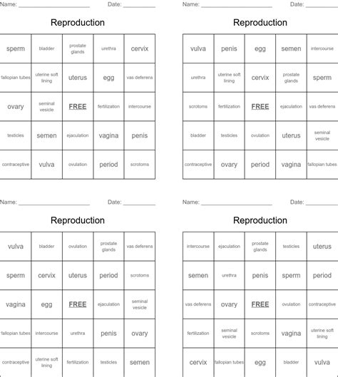 Sexual Education Word Search Wordmint