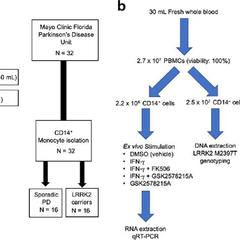 Flow Chart Of Patient Recruitment And Isolation Of Cd14 Monocytes A