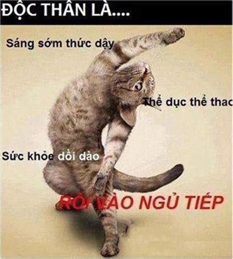 Những Hình ảnh Hài Hước Vui Nhộn Và Ngộ Nghỉnh Nhất Lạ Vui Việt