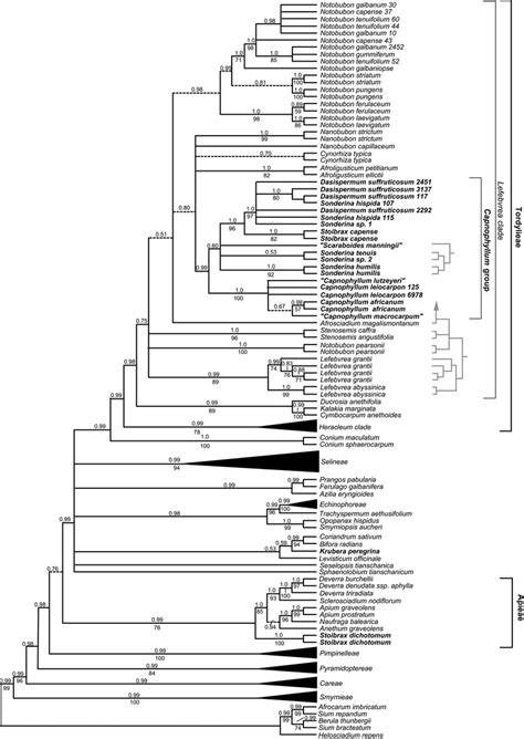 Bayesian Inference Bi Tree Of Its Sequence Data Posterior