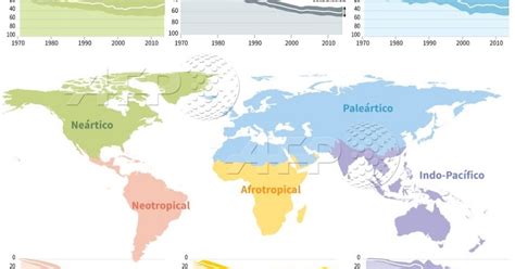 Anotaciones Al Margen Qué Dice El Informe Planeta Vivo De Wwf