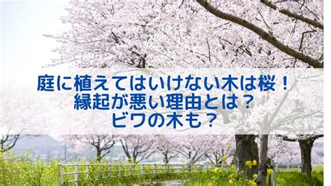 庭に植えてはいけない木は桜！縁起が悪い理由とは？ビワの木も？ まめちしき
