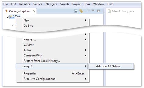 soapui nature soapui for ide