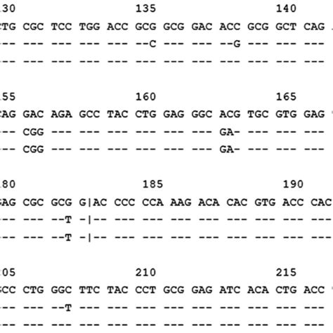 The Partial Exon 2 3 Nucleotide Sequence Of Hla‐b 08 79 02 Compared