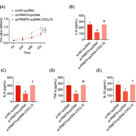 Prmt5 Mediated Cell Viability And Inflammation Of Cigarette Smoke