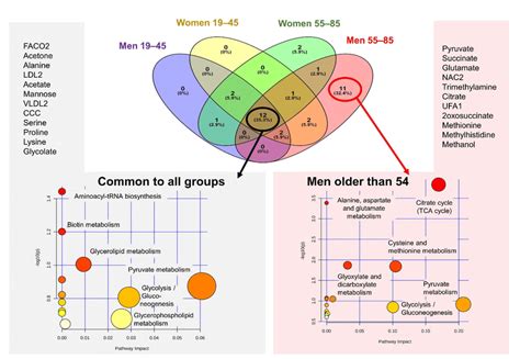 Metabolic Pathways Affected In Mets5 In All Groups Venn Diagram Of The