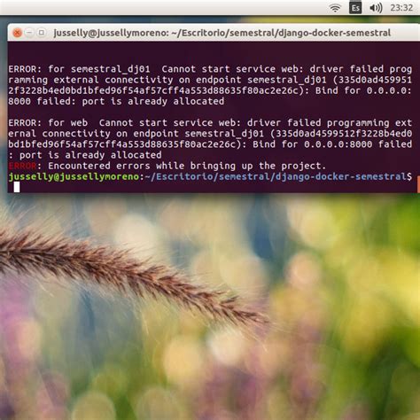 python why i cannot start service web stack overflow