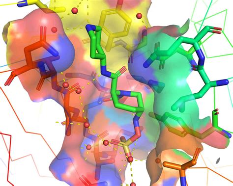 Structure Based Drug Design Services