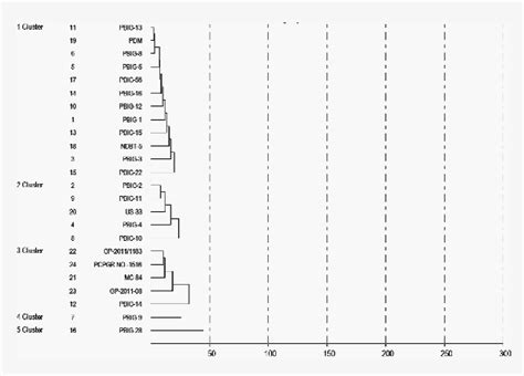 Clustering Pattern Of Different Genotypes By Tochers Method