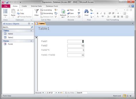 access using expressions calculated fields in form controls vba and