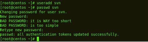 how to configure svn server subversion edge on centos