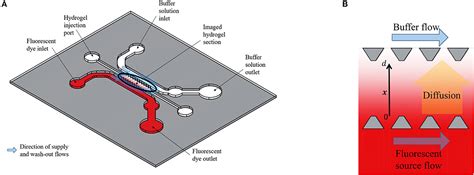 Frontiers An Integrated Pipeline For Combining In Vitro Data And