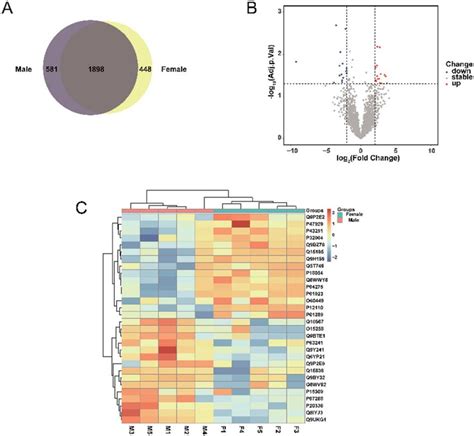 Proteomic Analysis Of Urinary Exosomes From Healthy Male And Female