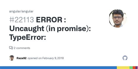 error uncaught in promise typeerror · issue 22113 · angular