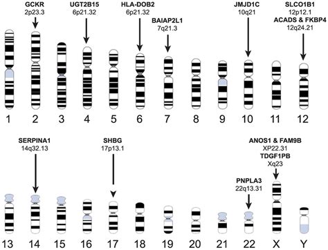 Chromosome Idiogram Map Of Gene Variants That Have Significant