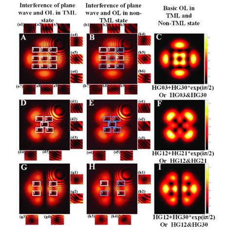 Simulated Interference Patterns Between Plane Wave And Ol In Tml