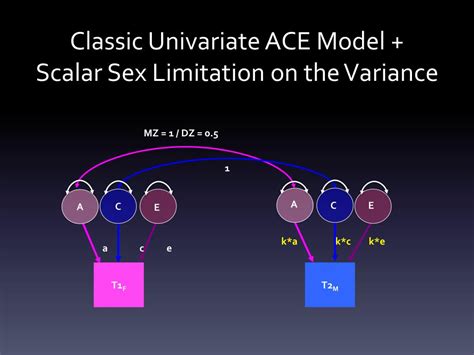 Ppt Heterogeneity Testing Powerpoint Presentation Free Download Id