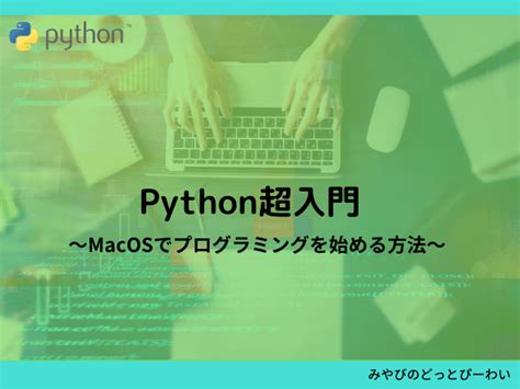 python超入門〜macosでプログラミングを始める方法〜 ｜ びぎんぱいそん
