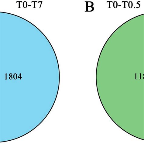 Venn Diagrams Showing Differentially Expressed Transcript And Protein