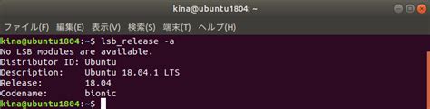 【解決】ubuntu18 04でサスペンドから復帰できない カーネルアップデート kinaconの技術ブログ